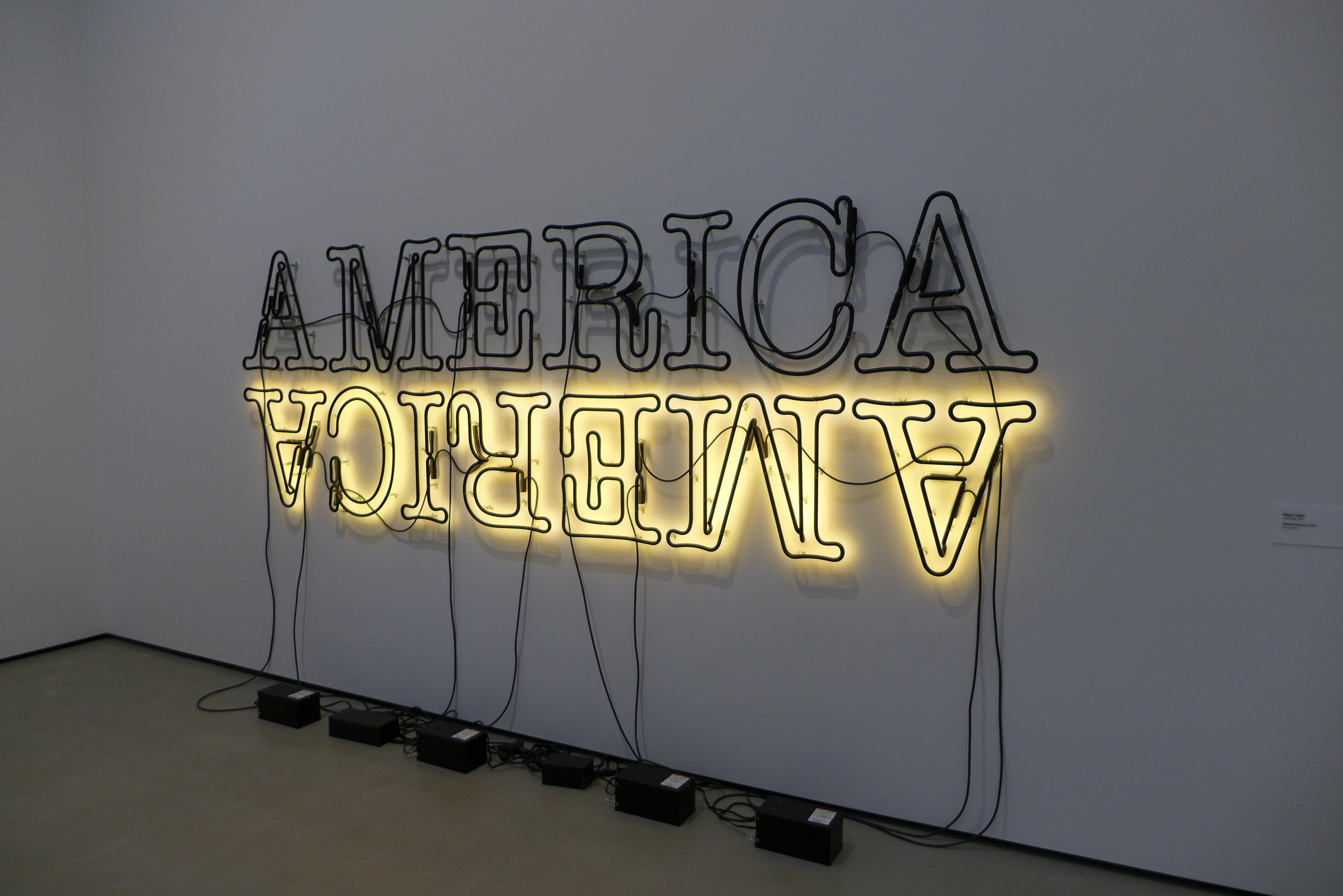 “Double America 2” by Glenn Ligon | Alain Gayot Photos Gallery